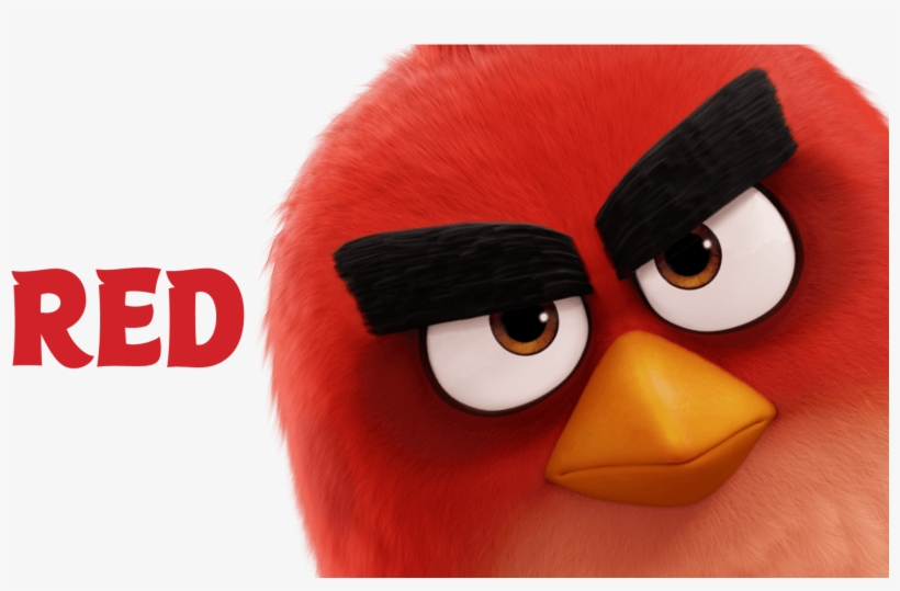 Red Angry Bird Flying PNG Image | Transparent PNG Free Download on SeekPNG
