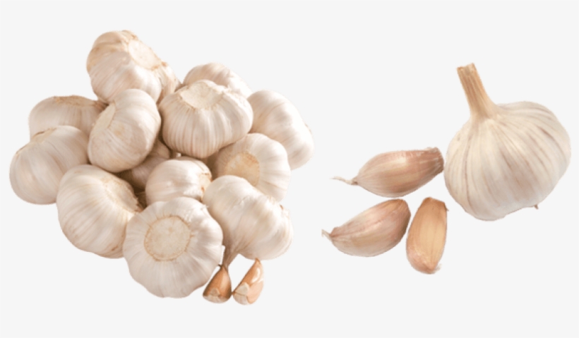Download Free Png Garlic Png Images Transparent - Transparent ...