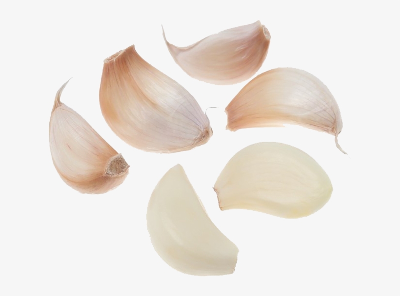 Garlic Png PNG Image | Transparent PNG Free Download on SeekPNG