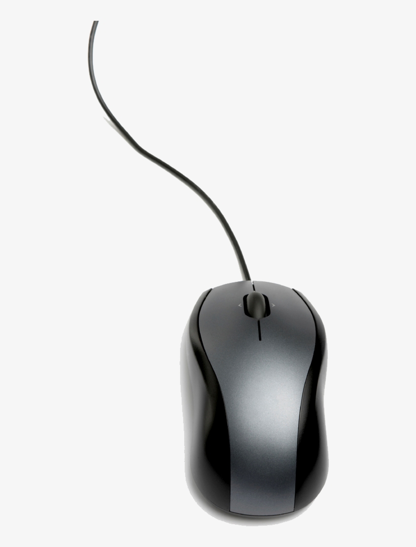 Computer Mouse Png Hd - Computer Mouse Png PNG Image | Transparent PNG ...
