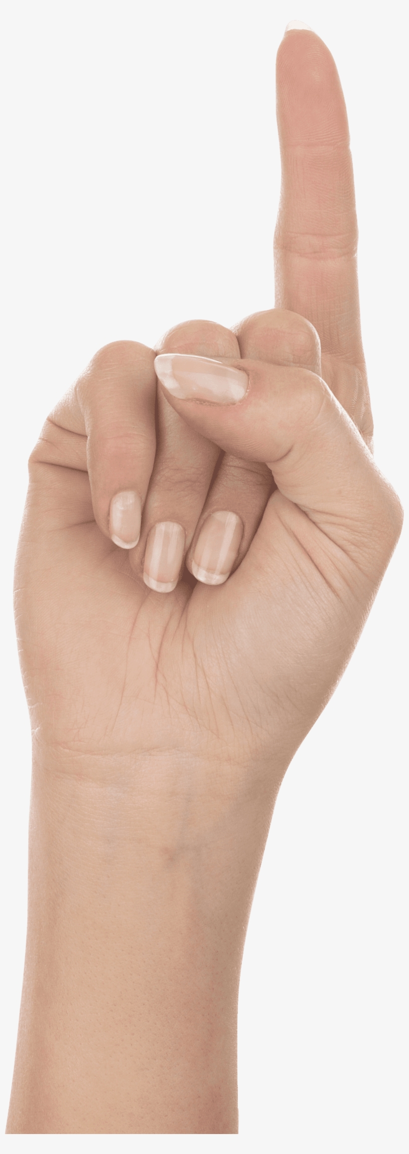 One Finger Hand - Hand One Finger Png PNG Image | Transparent PNG Free ...