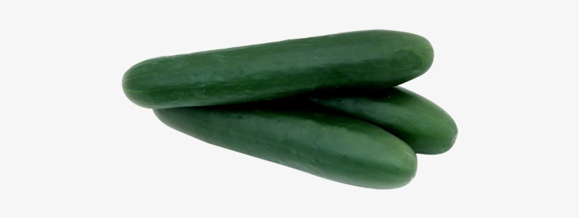 Auriga - Cucumber PNG Image | Transparent PNG Free Download on SeekPNG