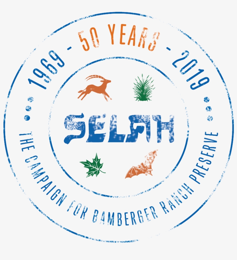 Selah - 50th - Seal - Trans - V1 - 1 - Circle PNG Image | Transparent ...