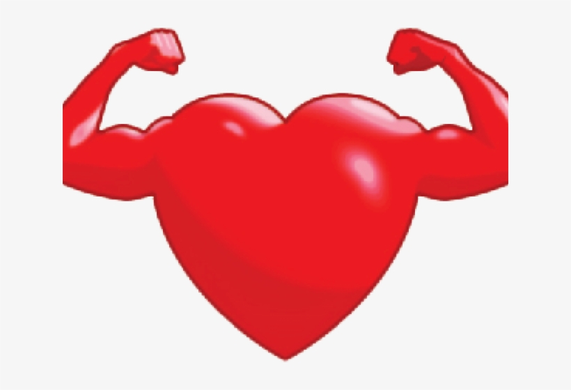 Organs Clipart Heart Muscle - Strong Heart PNG Image | Transparent PNG ...