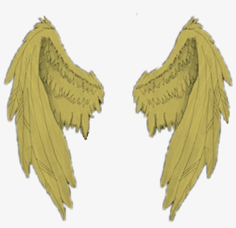Picsart Transparent Angel Wings PNG Image | Transparent PNG Free ...