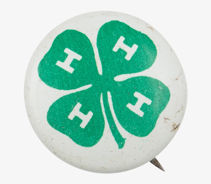 Download 4-h Clover - Shamrock | Transparent PNG Download | SeekPNG
