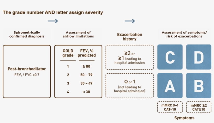 Download The 2018 Abcd Assessment Tool - Gold Abcd Assessment Tool ...