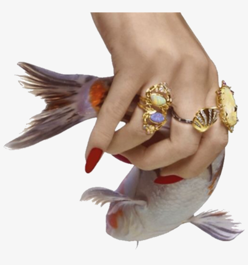 Hand Sticker - Jewellery PNG Image | Transparent PNG Free Download on ...