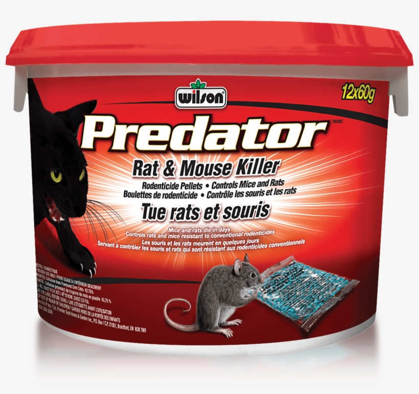 Wilson Predator Rat Mouse Killer Pellets - Predator Rodenticide PNG ...