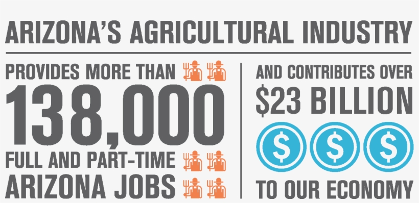 Arizona Ag - Einstien PNG Image | Transparent PNG Free Download on SeekPNG