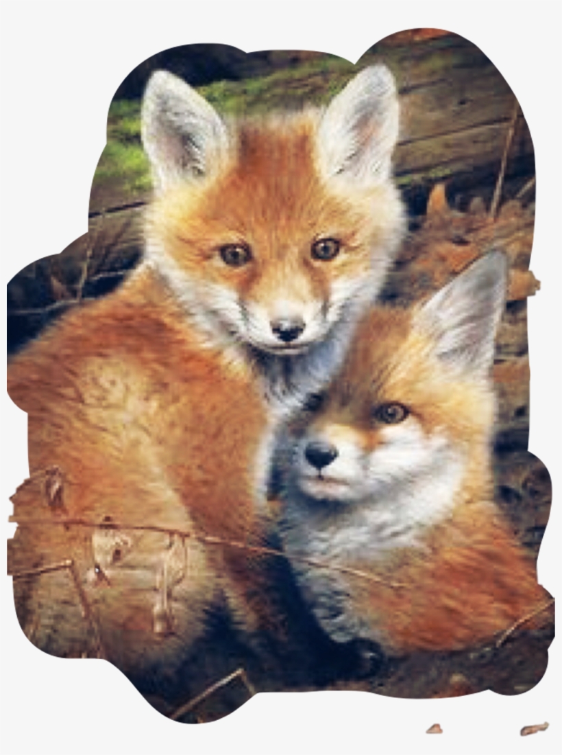 Fox Sticker - Fox PNG Image | Transparent PNG Free Download on SeekPNG