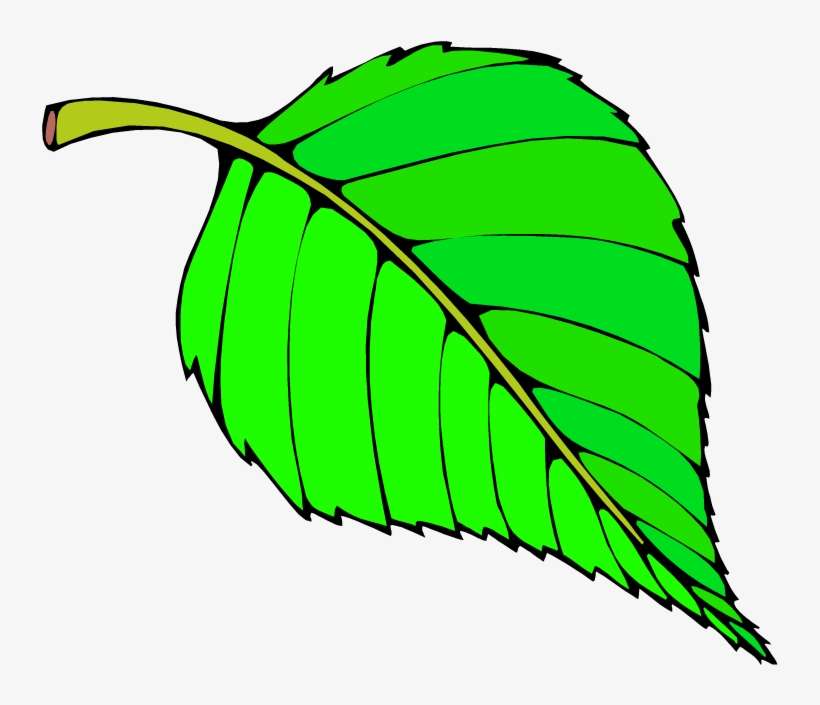 Paper Clipart - Tree Paper Clip Art PNG Image | Transparent PNG Free ...