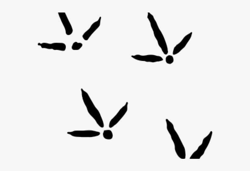 Turkey Track Silhouette