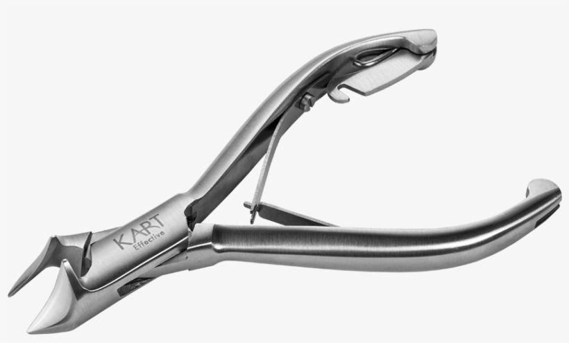 Nipper PNG Image | Transparent PNG Free Download on SeekPNG