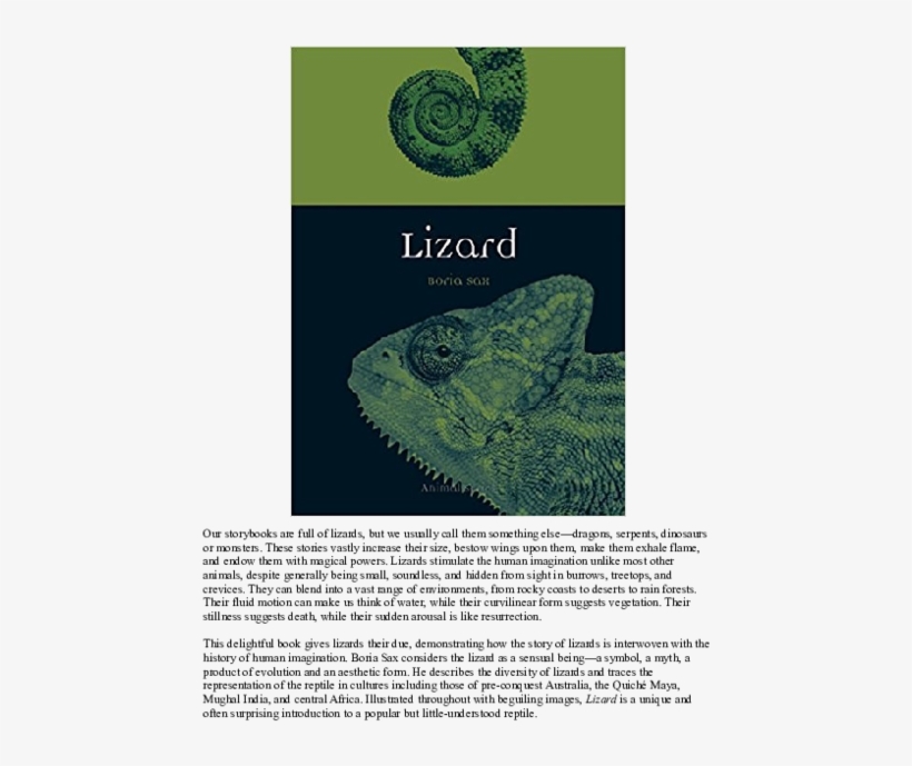 Lizard Word - Docx - American Alligator PNG Image | Transparent PNG ...