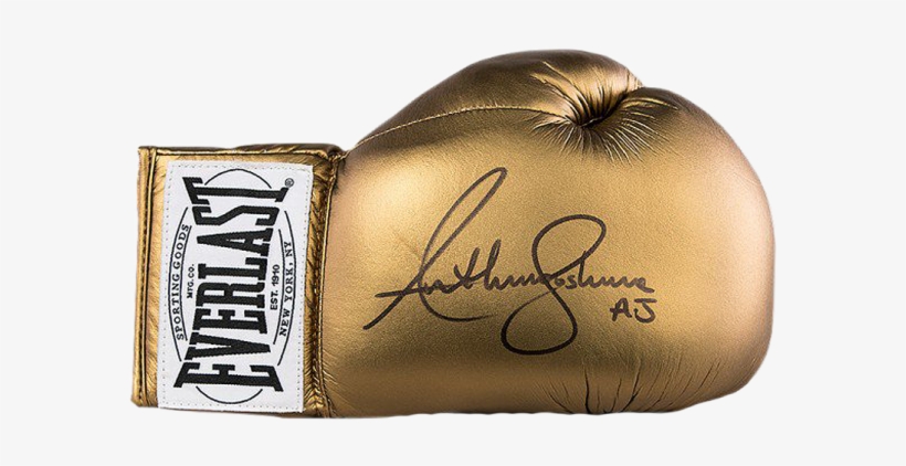 Zoom - Anthony Joshua Signed Gloves PNG Image | Transparent PNG Free ...