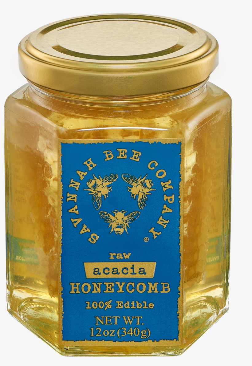 Nosh Live Nosh - Paste PNG Image | Transparent PNG Free Download on SeekPNG