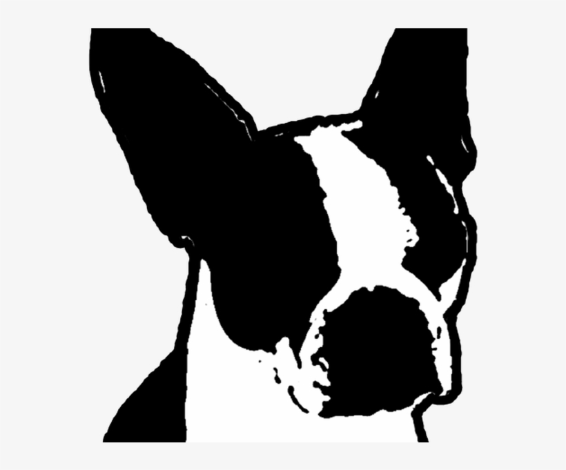 Schuyler-ankele PNG Image | Transparent PNG Free Download on SeekPNG