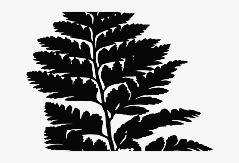 Fern Leaf Clip Art
