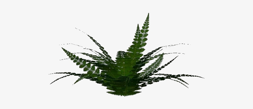 Matojos Png PNG Image | Transparent PNG Free Download on SeekPNG