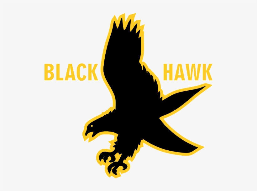 Download Black Hawk - - Hawk | Transparent PNG Download | SeekPNG