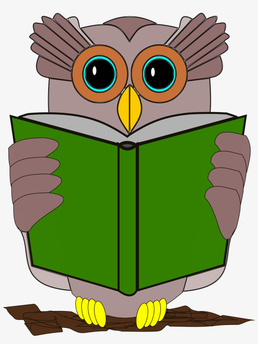 Owl Clipart Reading - Reading Owl Gif PNG Image | Transparent PNG Free ...