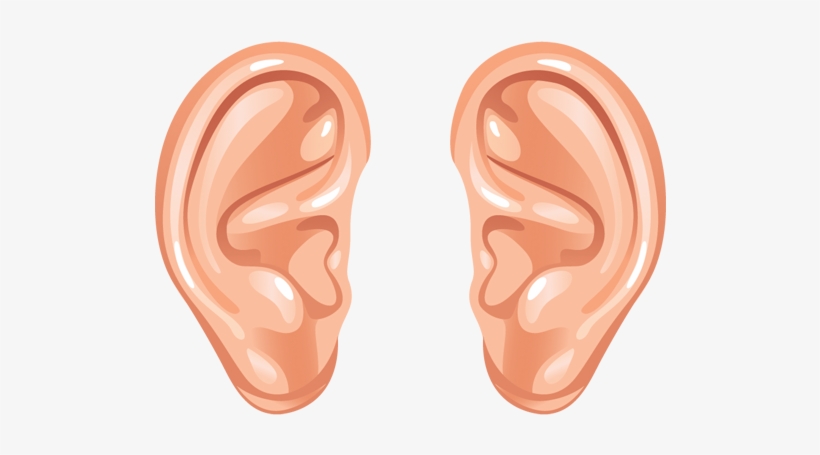 Ear PNG Images | PNG Cliparts Free Download on SeekPNG