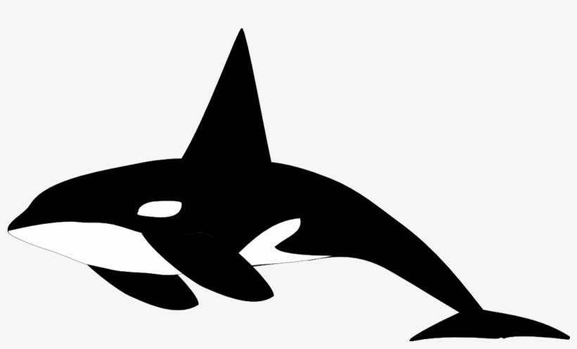 Download Whale Clipart Shamu - Killer Whale Clipart Png | Transparent ...