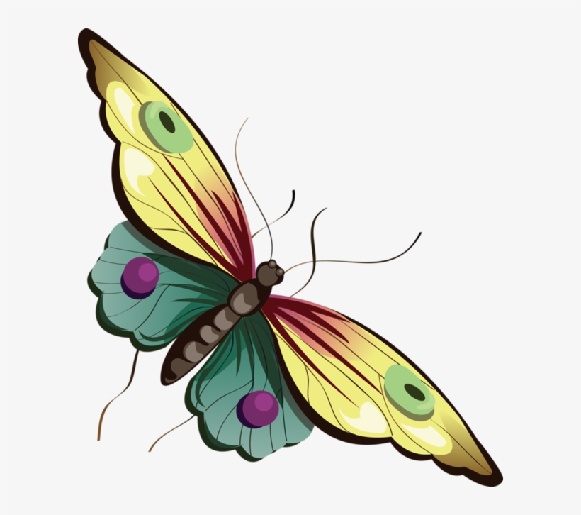 Free Clipart Of Butterfly