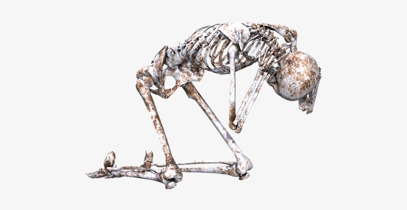 Download Skeleton Pose Skull Bones 3d Kneeling - Skeleton Kneeling Png ...