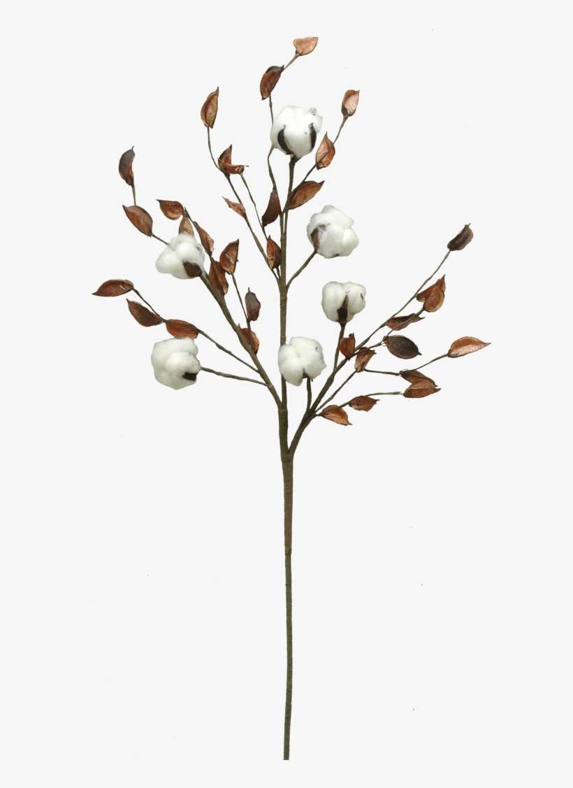 Twig PNG Image | Transparent PNG Free Download on SeekPNG