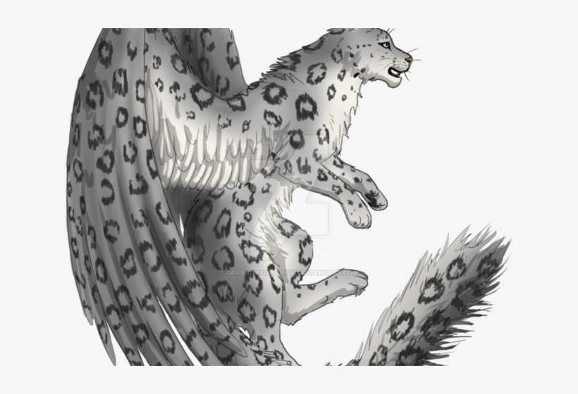 Drawn Snow Leopard Dragon Wing - Leopard PNG Image | Transparent PNG ...