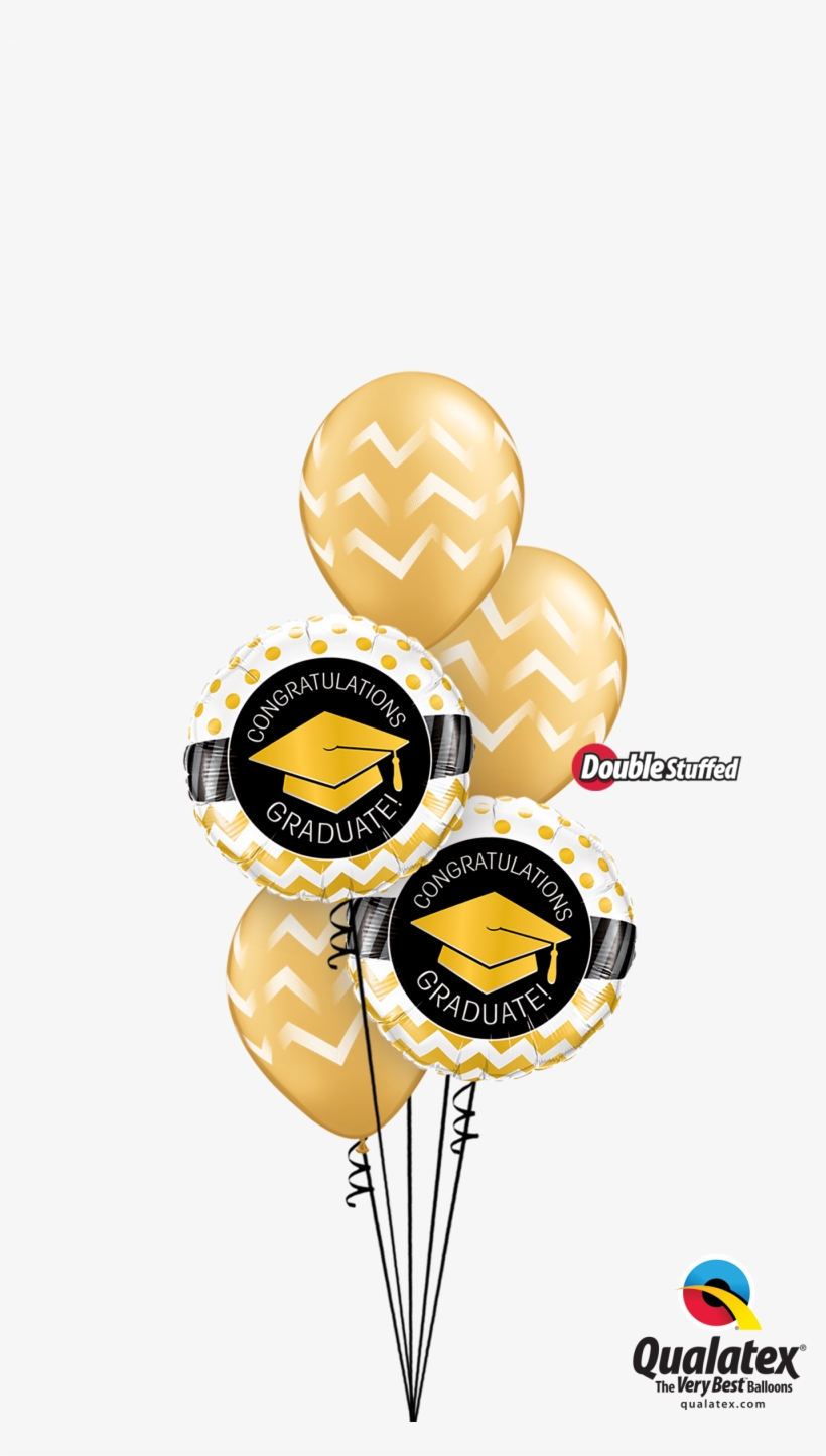 Qualatex PNG Image | Transparent PNG Free Download on SeekPNG