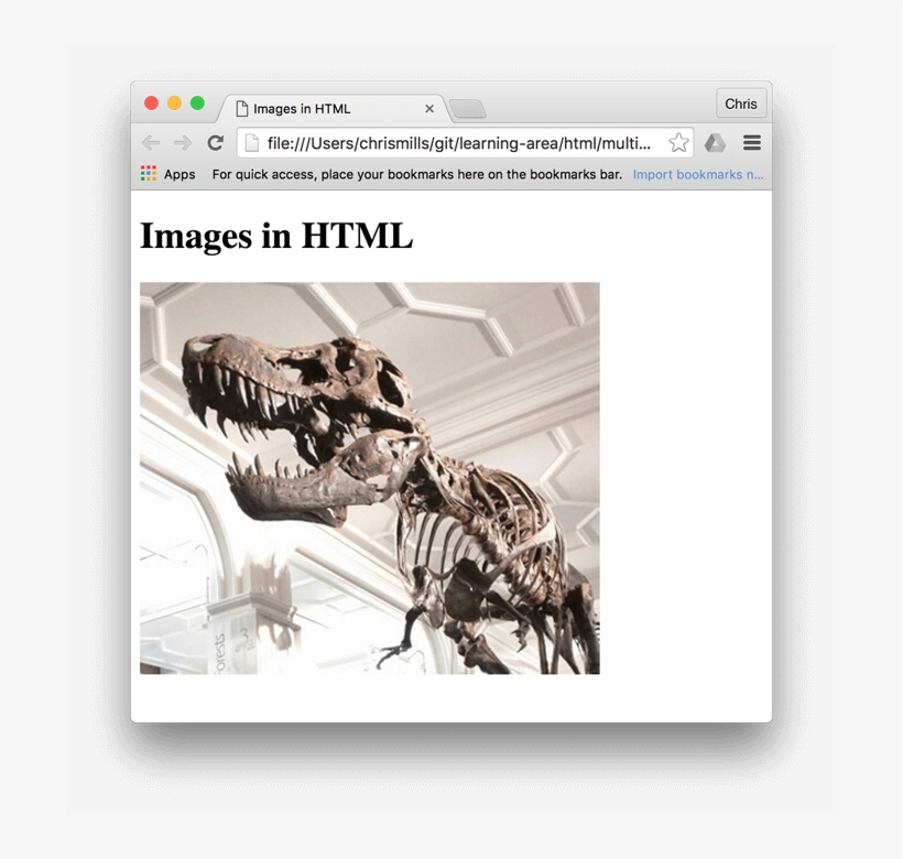 A Basic Image Of A Dinosaur, Embedded In A Browser, - Manchester Museum ...