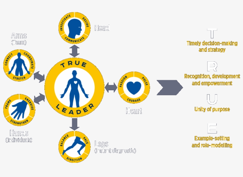 How We Work Diagram1 - Circle PNG Image | Transparent PNG Free Download ...