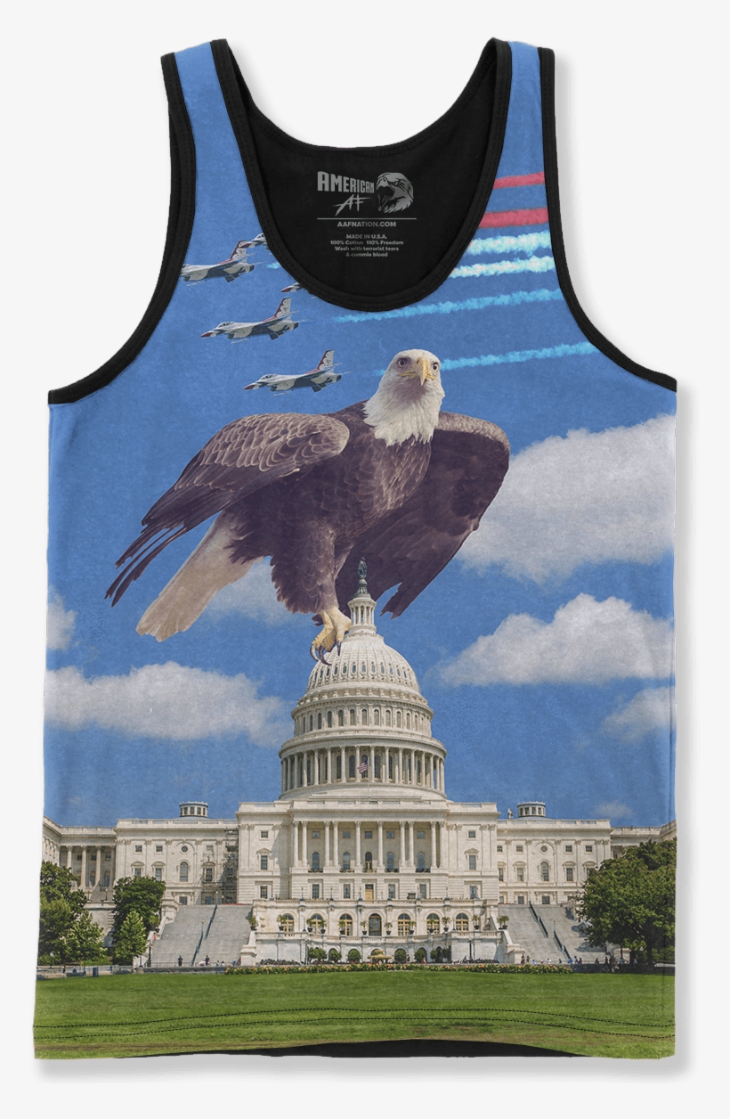 Capital Eagle Tank V=1529992403 - U.s. Capitol PNG Image | Transparent ...