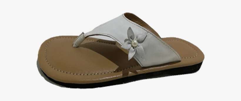 Slipper PNG Image | Transparent PNG Free Download on SeekPNG