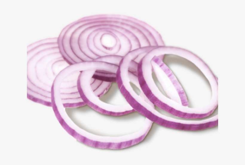 Onion Slice Png PNG Image | Transparent PNG Free Download on SeekPNG