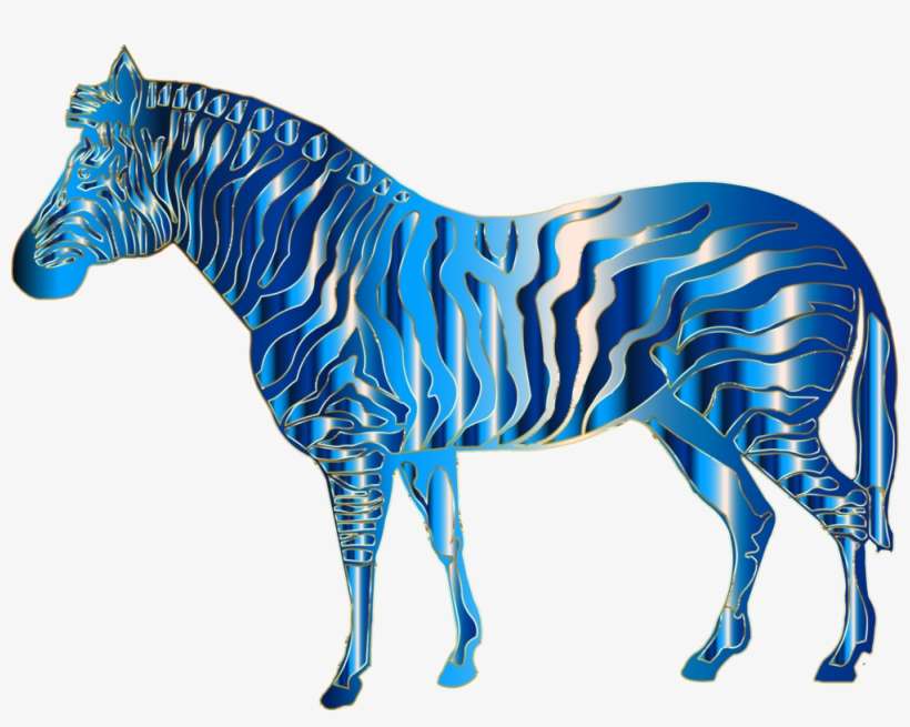 999 X 750 1 - Blue Zebra Png PNG Image | Transparent PNG Free Download ...