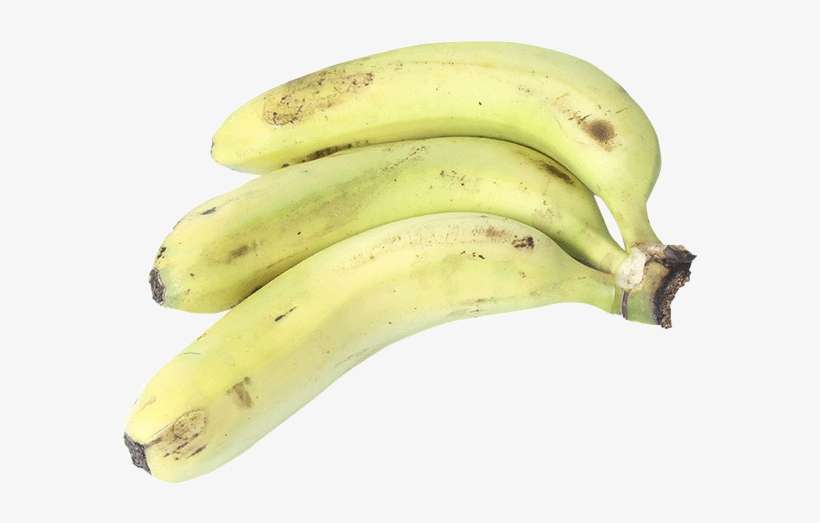 Saba Banana PNG Image | Transparent PNG Free Download on SeekPNG