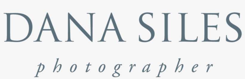 Photography Png Text PNG Image | Transparent PNG Free Download on SeekPNG