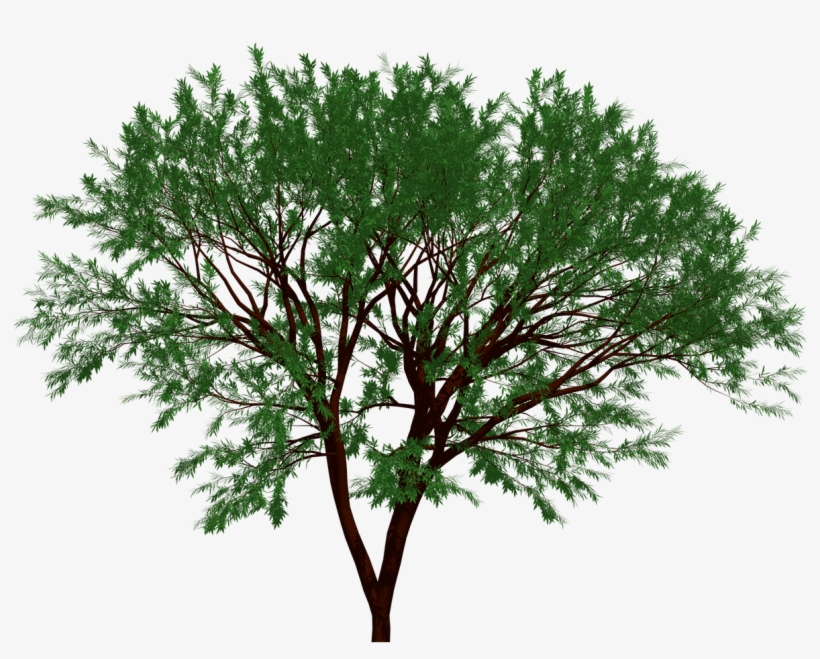 Portable Network Graphics PNG Image | Transparent PNG Free Download on ...