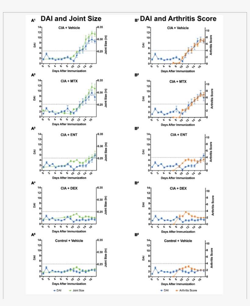 The Dai Detects Response To Standard Of Care Drugs - Diagram PNG Image ...