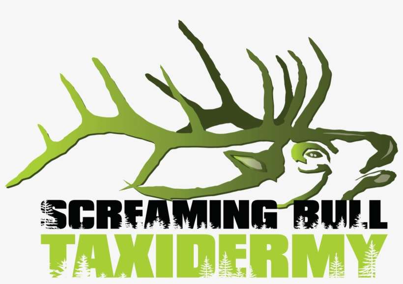 Screamingbull J258 Logodesignredesign - Illustration PNG Image ...