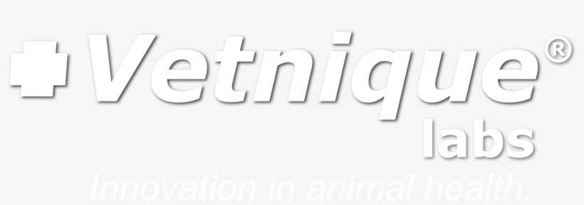 Terms & Conditions - Graphics PNG Image | Transparent PNG Free Download ...