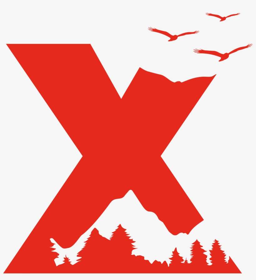 Ted - Illustration PNG Image | Transparent PNG Free Download on SeekPNG