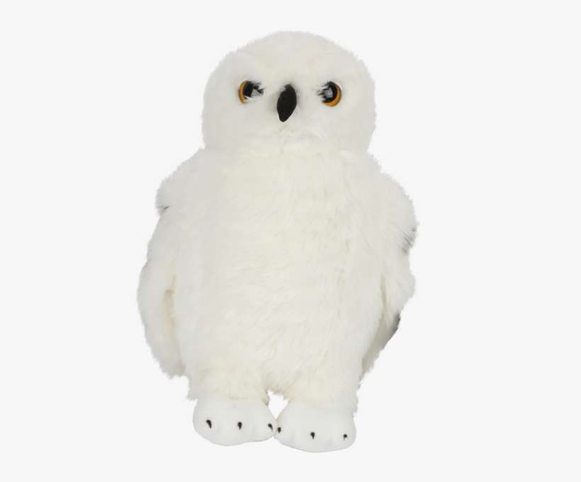 Hedwig Plush Png PNG Image | Transparent PNG Free Download on SeekPNG