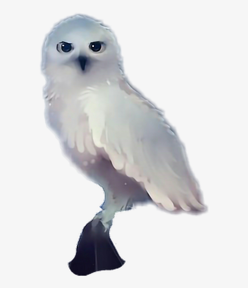 Snowy Owl PNG Image | Transparent PNG Free Download on SeekPNG