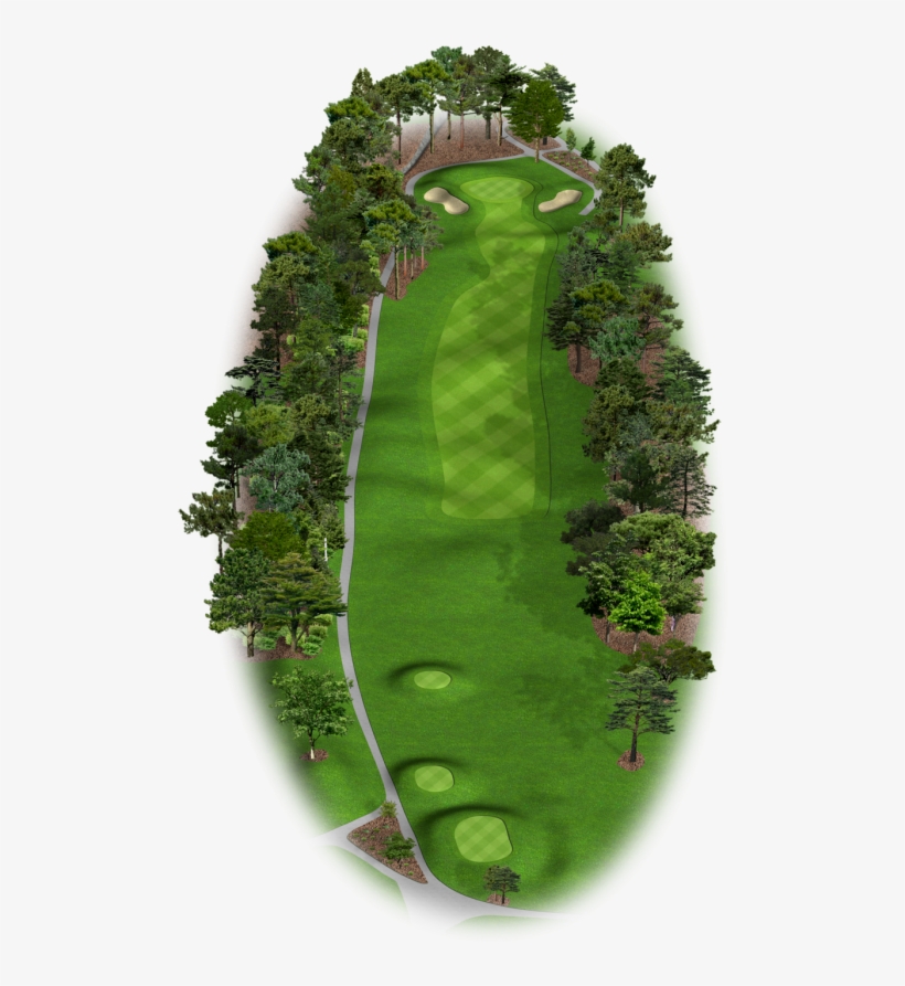 Book - Tree PNG Image | Transparent PNG Free Download on SeekPNG