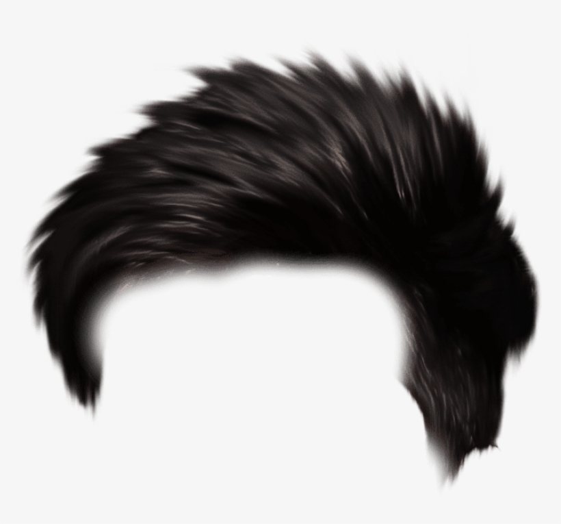 Free Png Download Hair Png Images Background Png Images - Editing ...